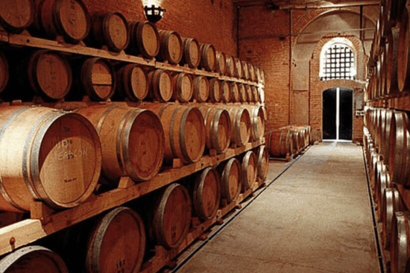 Buenos Aires: Mendoza Wine Paradise Day Trip with Airfare - Who Should Consider This Tour?