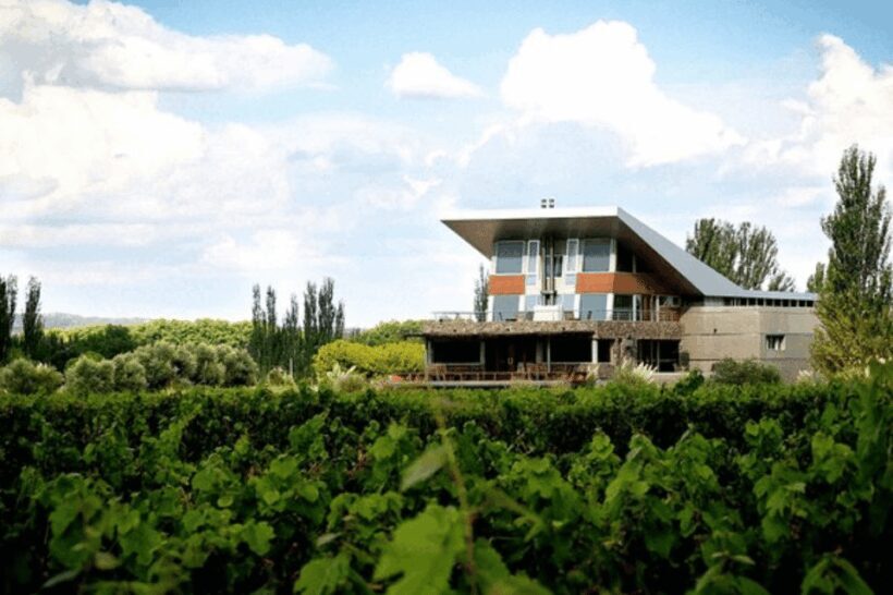 Buenos Aires: Mendoza Wine Paradise Day Trip with Airfare - FAQ