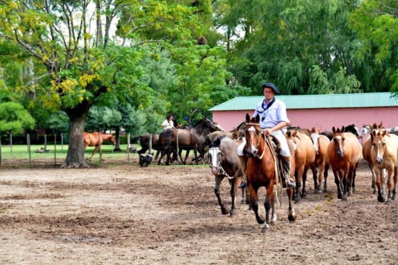 Buenos Aires: Santa Susana Ranch Day Tour, BBQ & Shows - The Sum Up
