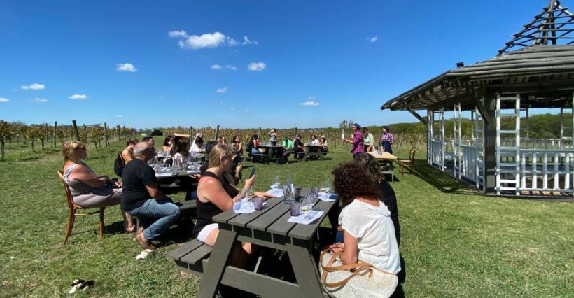 Buenos Aires: Wine Tasting and Lunch at Bodega Gamboa - A Practical Look at What to Expect