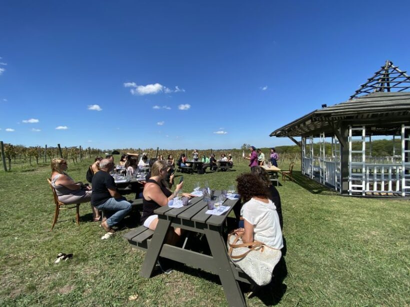 Buenos Aires: Wine Tasting and Lunch at Bodega Gamboa - Authentic Experience and Review Highlights