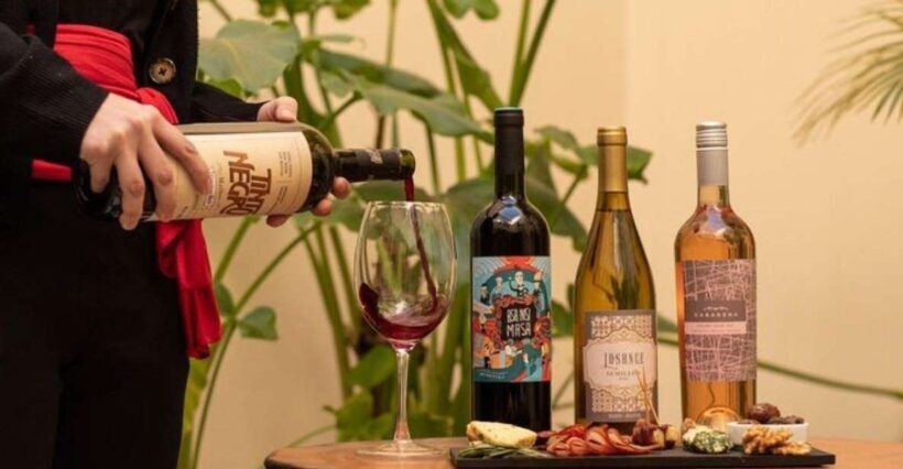 Buenos Aires: Wine Tasting Boutique - Key Points