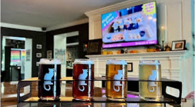 Buffalo: Beer Tasting Pass - Value for Money