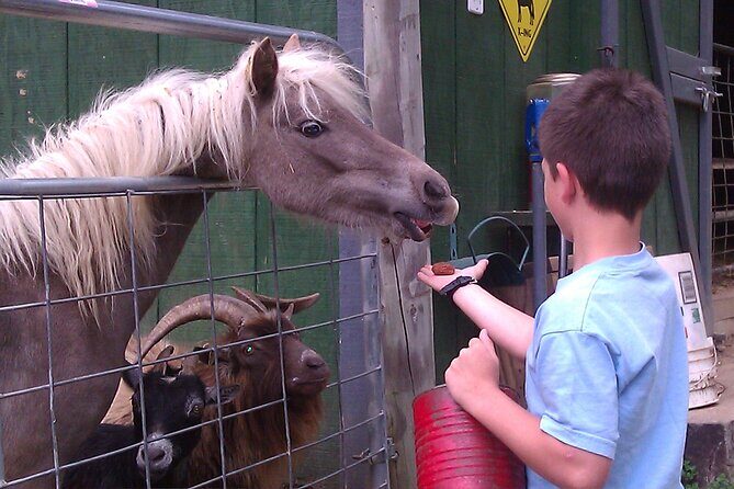 Buffalo Creek Ranch Tour Experience - FAQ
