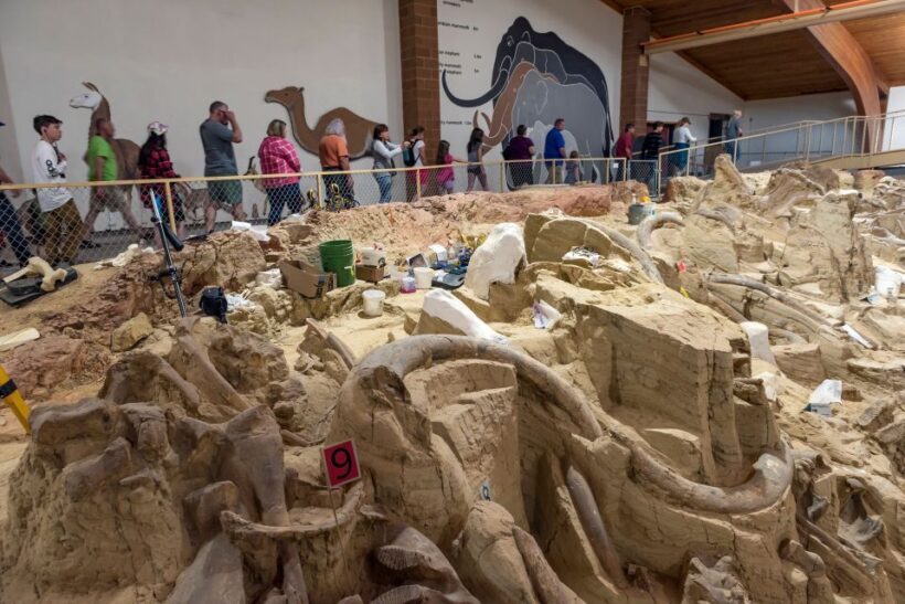Buffalo Jeep Safari & Mammoth Site Tour - Who Will Love This Tour?