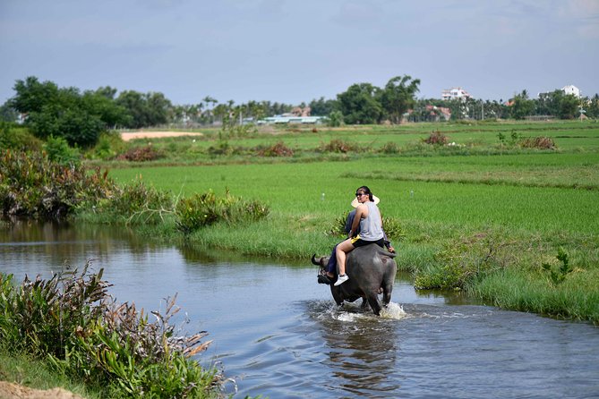 Buffalo Riding and basket boat tour from Da Nang/ Hoi An - An Authentic Glimpse into Vietnamese Countryside