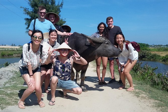 Buffalo Riding and basket boat tour from Da Nang/ Hoi An - Transportation and Logistics: Hassle-Free and Well Managed
