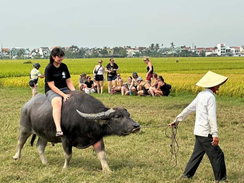 BUFFALO RIDING -BASKET BOAT & BIKE TOUR-HOI AN - FAQ