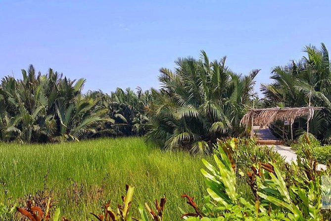 Buffalo Riding, Basket Boat Tour And Cooking Class - Who Should Book This Tour?