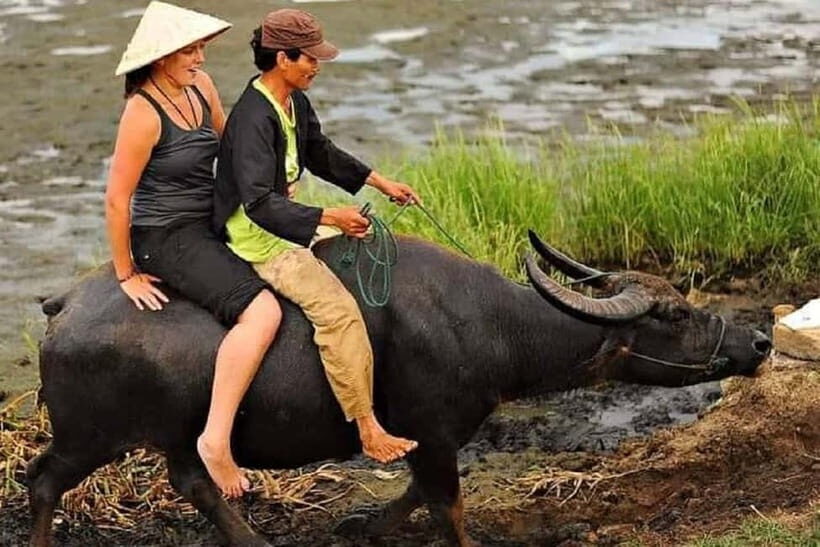 Buffaloe Riding/Ceramic/Cafe/Lantern Class/Basket Boat/Lunch - A Day in Central Vietnam: What to Expect
