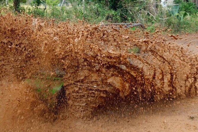 Buggie Adventure Bayahibe - Who Should Consider This Tour?