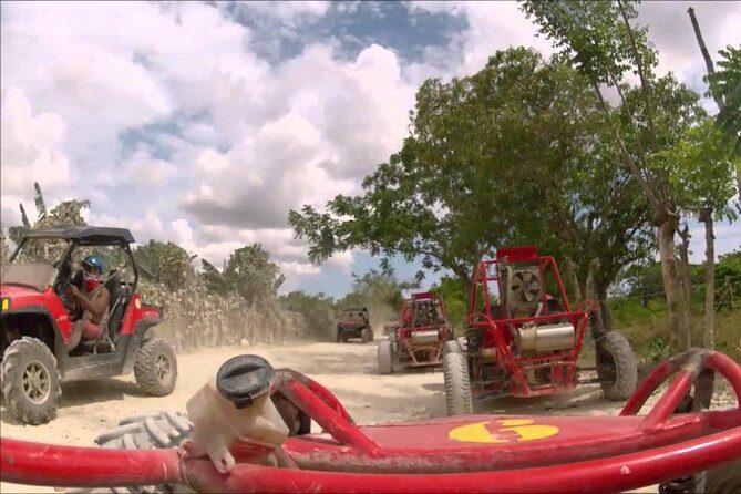 Buggies Punta Cana Macao - Key Points