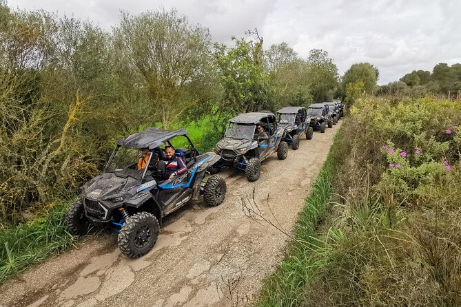 Buggy 2-seater and 4-seater Off-On Road Tour in Mallorca - Overview and Details