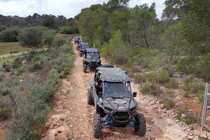 Buggy 2-seater and 4-seater Off-On Road Tour in Mallorca - Duration and Group Size