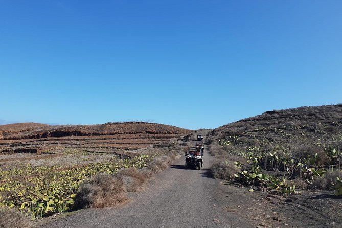 Buggy 3h Guided Tour of the North of Lanzarote - Highlights of the Tour