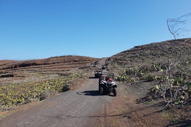Buggy 3h Guided Tour of the North of Lanzarote - Positive Customer Feedback