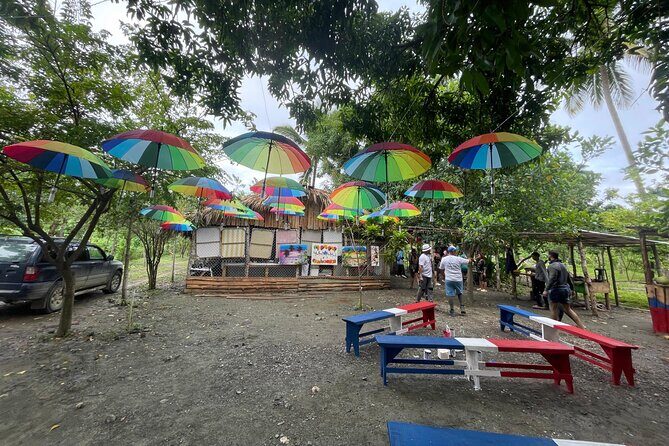 Buggy Adventure for Amber Cove and Taino Bay Passengers - Final Thoughts: Is It Worth It?