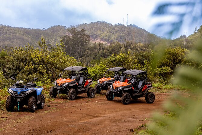 Buggy Adventure in Madeira off Road - What Makes it a Good Value?