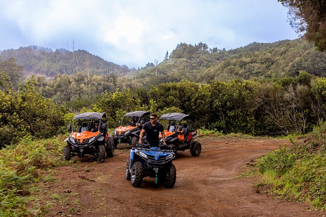 Buggy Adventure in Madeira off Road - Final Thoughts: Is It Worth It?