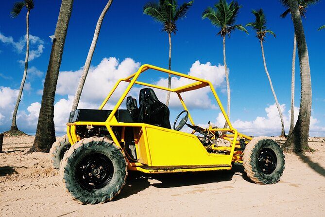 Buggy Adventure: Macao Beach & Cenote Experience - The Sum Up: Is This Tour Worth It?