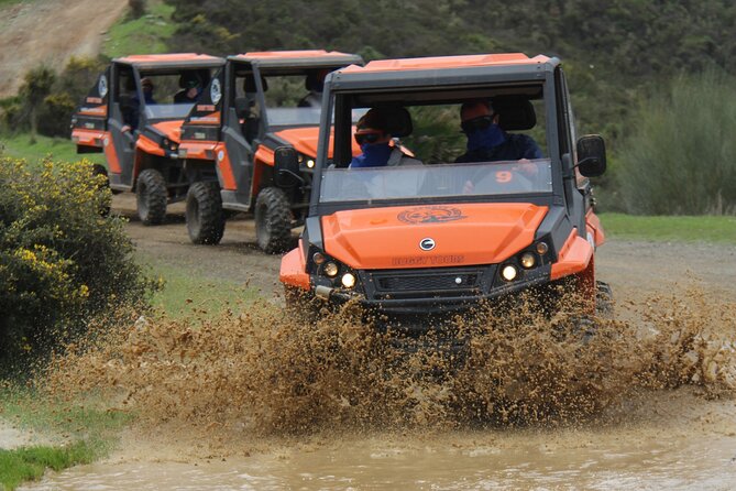 Buggy Adventure Review: Stunning Marbella Experience - About Your Stay