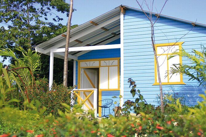 Buggy Adventure, Zipline Mega Splash and Waterfall Pool at Bavaro Adventure Park - Who Should Consider This Tour?