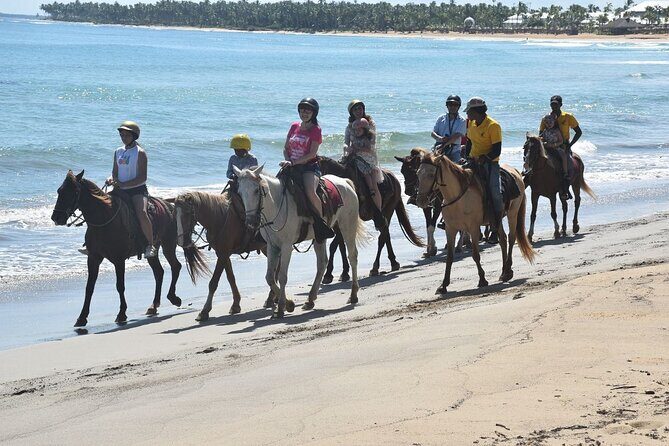 Buggy and Horse Ride on Punta Cana River - Who Will Love This Tour?