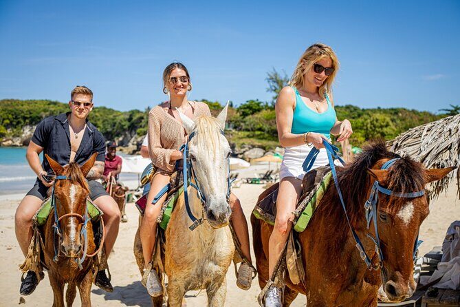 Buggy and Horse Ride on Punta Cana River - The Sum Up