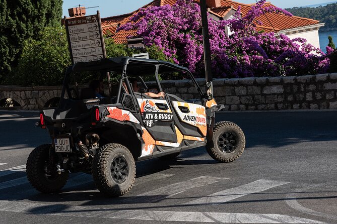 Buggy Dubrovnik Panorama Tour (Private) - Meeting and Pickup