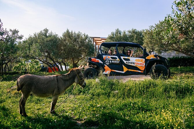 Buggy Dubrovnik Safari Tour (Private) - Booking and Flexibility