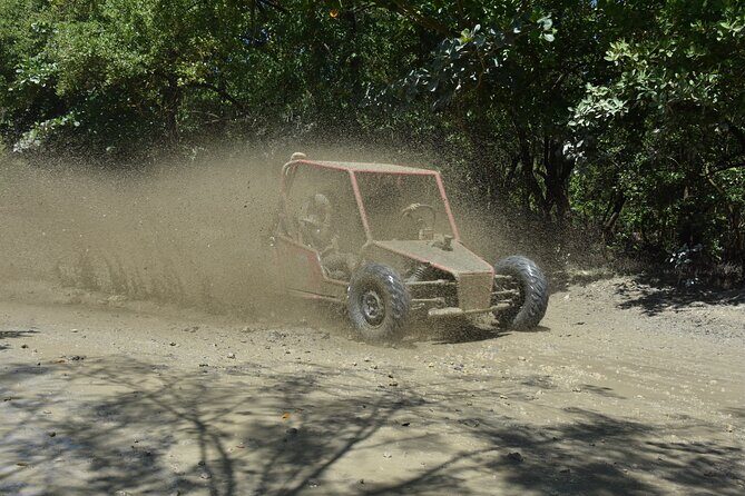 Buggy Excursion in Puerto Plata - Key Points