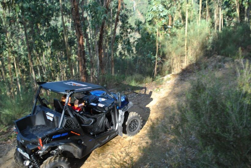 Buggy Experiences - A Closer Look at the Buggy Tour