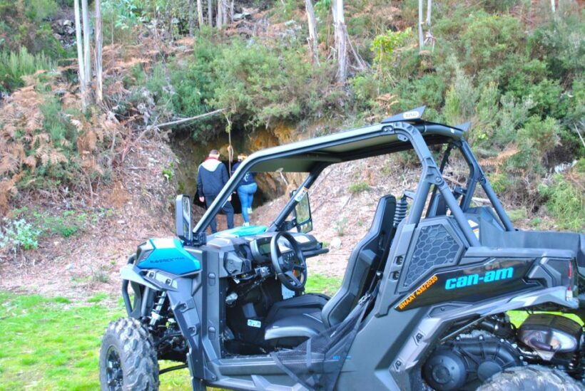 Buggy Experiences - Who Will Love This Tour?