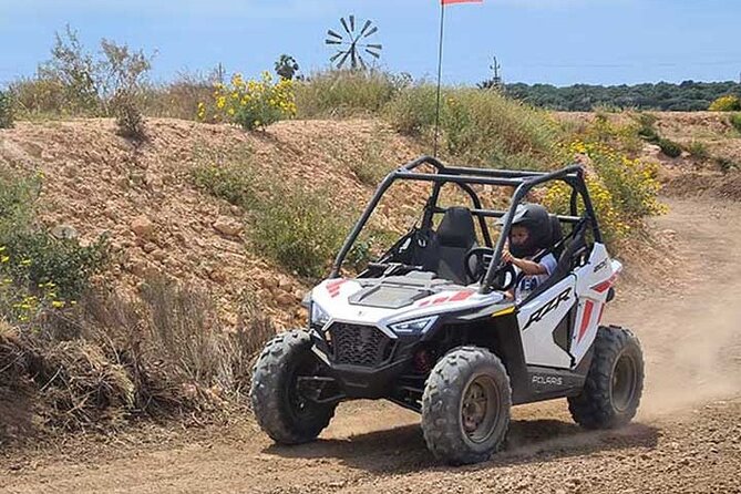 Buggy for children in Mallorca - Who Is This Experience Best For?