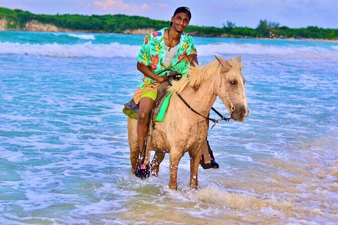 Buggy, horse and plantation ranch - Reviewing the Experience: What Past Travelers Say