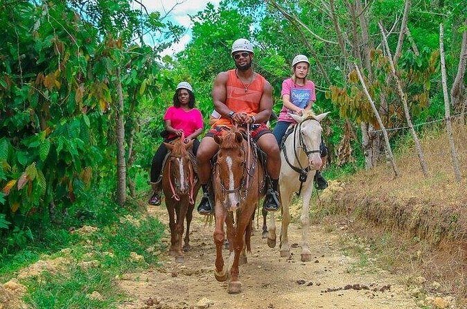 Buggy, Horse and Zip Line with Lunch included from Punta Cana - Who Should Consider This Tour?