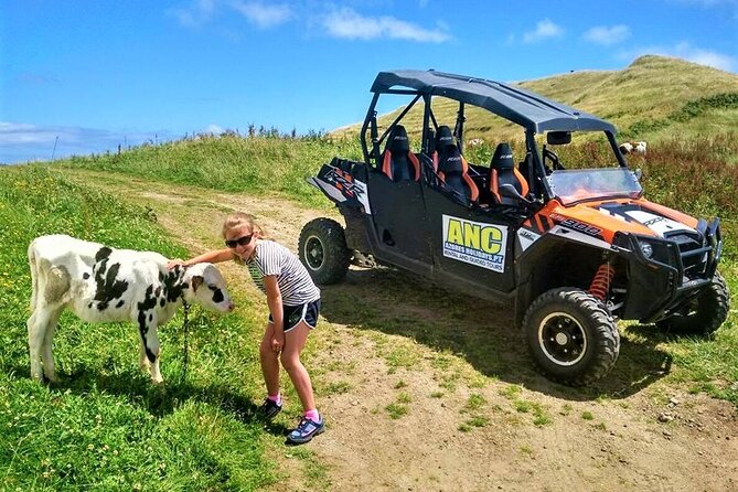 Buggy – Off-Road Excursion W/ Lunch – Coast to Coast (Shared) - Booking Flexibility and Requirements