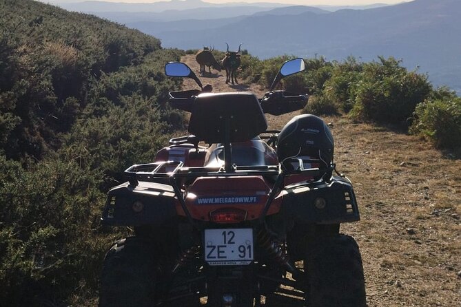 Buggy or Moto4 tour through Melgaço - FAQ