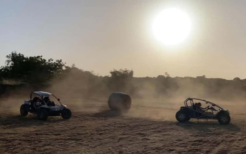 Buggy/Quad excursions in Puglia with 4-seater buggies available on request. - Reviewing the Experience: What Travelers Say