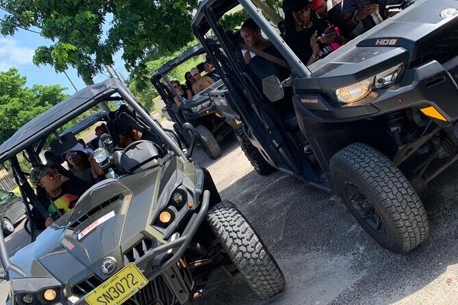 Buggy Rental (with Drop-off, Pick-up around New Providence) - The Review Highlights