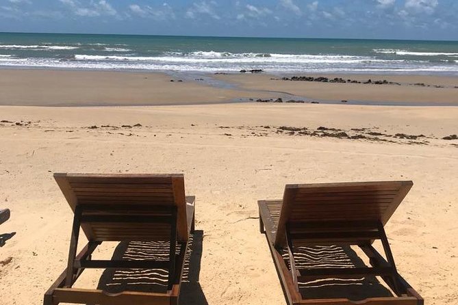 Buggy Ride - Genipabu + North Coast to Jacuma - Discovering Jacumas Wonders