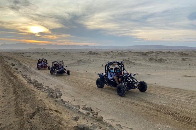 Buggy Ride in Paracas National Reserve - Safety Considerations and Accessibility