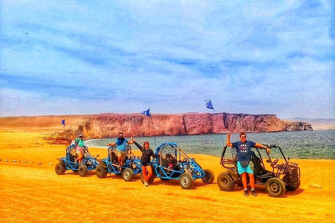 Buggy Ride in Paracas National Reserve - Highlighting Customer Feedback