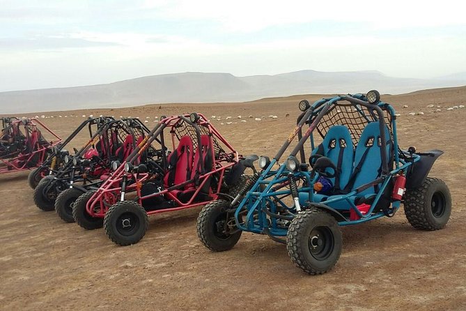 Buggy Ride in Paracas National Reserve - Alternative Exploration Options