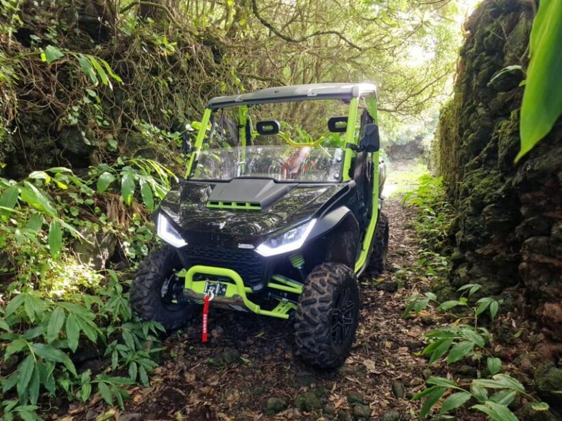 Buggy ride through the vineyards of Pico Island - A Close Look at the Experience