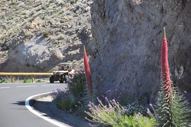 Buggy Safari Adventure 700cc - FAQ