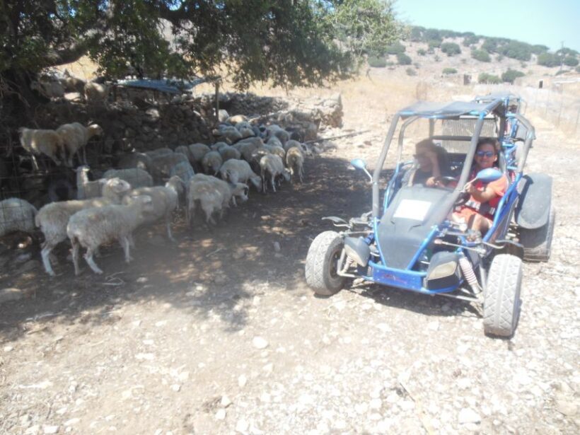 Buggy safari Crete (Transfer and lunch) analipsi- hersonisos - Evaluating the Value
