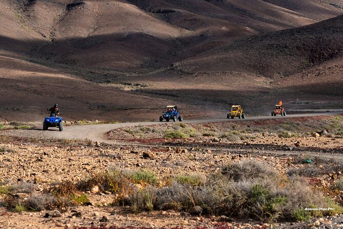 Buggy Safari in Caleta De Fuste - Customer Testimonials and Reviews