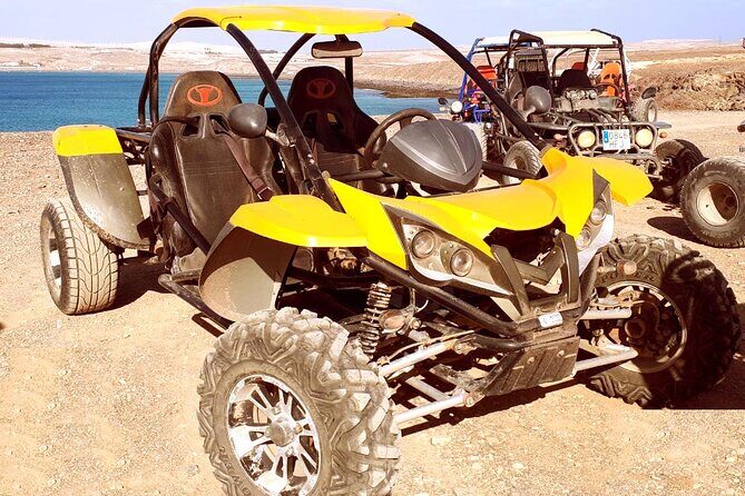 Buggy Safari In Costa Calma - Authentic Observations from Traveler Reviews