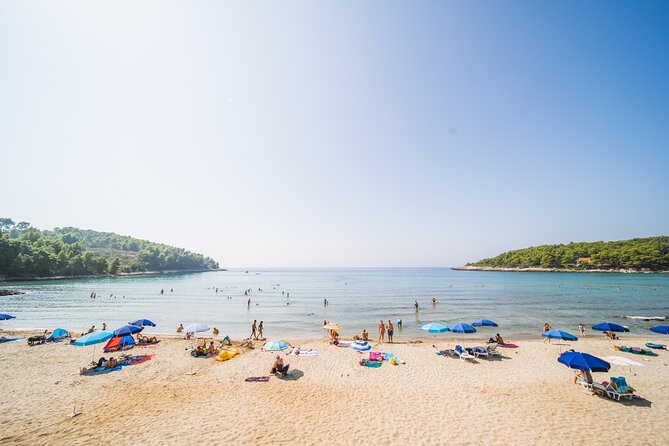 Buggy Safari With Wine Tasting - Indulging in the Local Wine Tasting